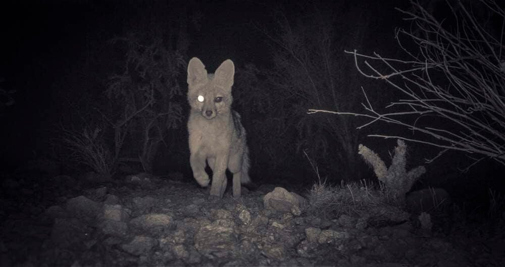 What to see, hear and do this week, October 5–11