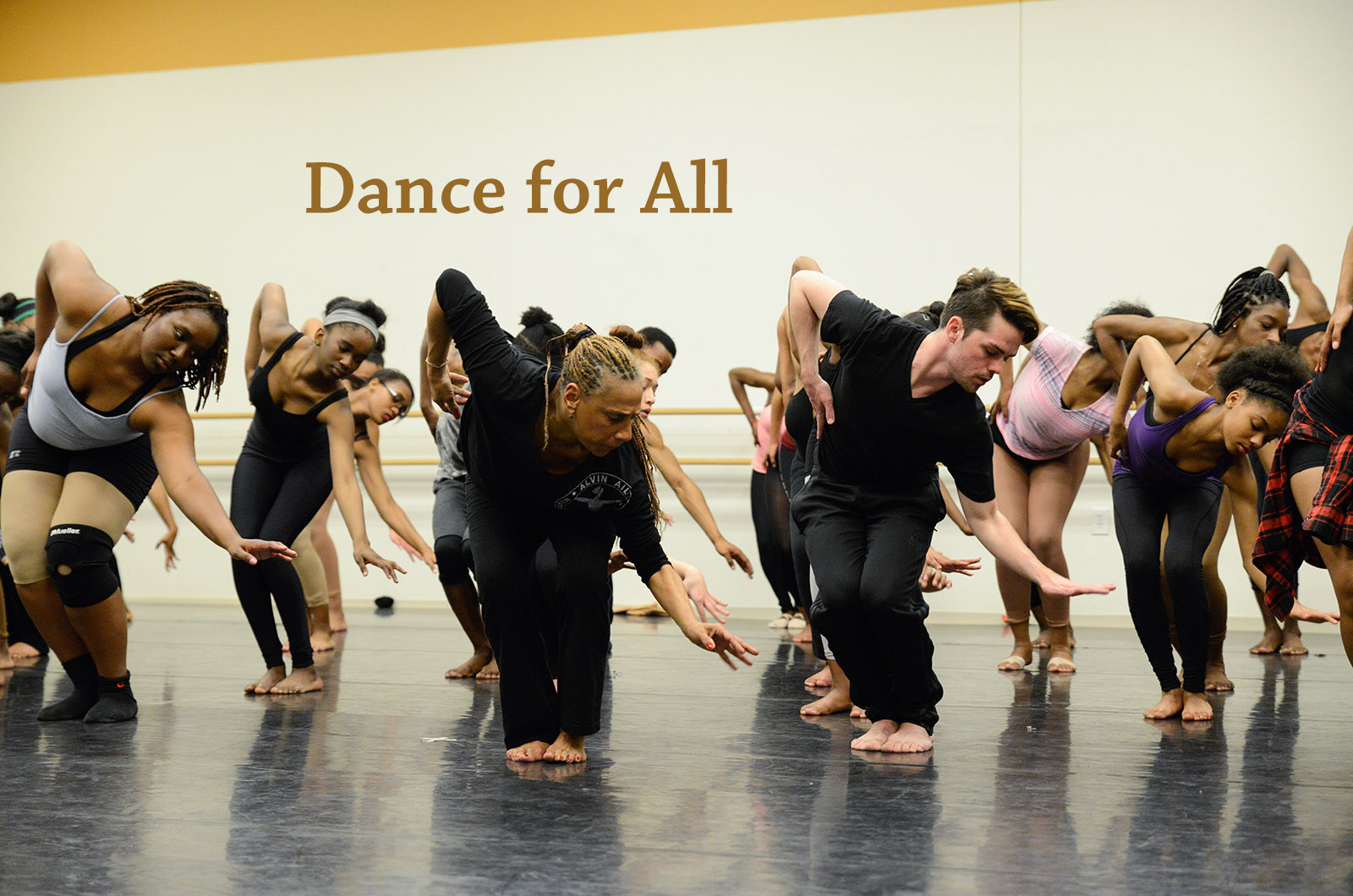 Alvin Ailey Dance Company Logo