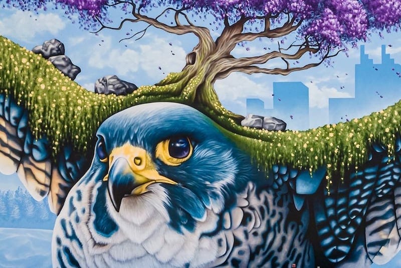 Today in street art: It's a bird, it's a pig ... it's the work of ATL ...