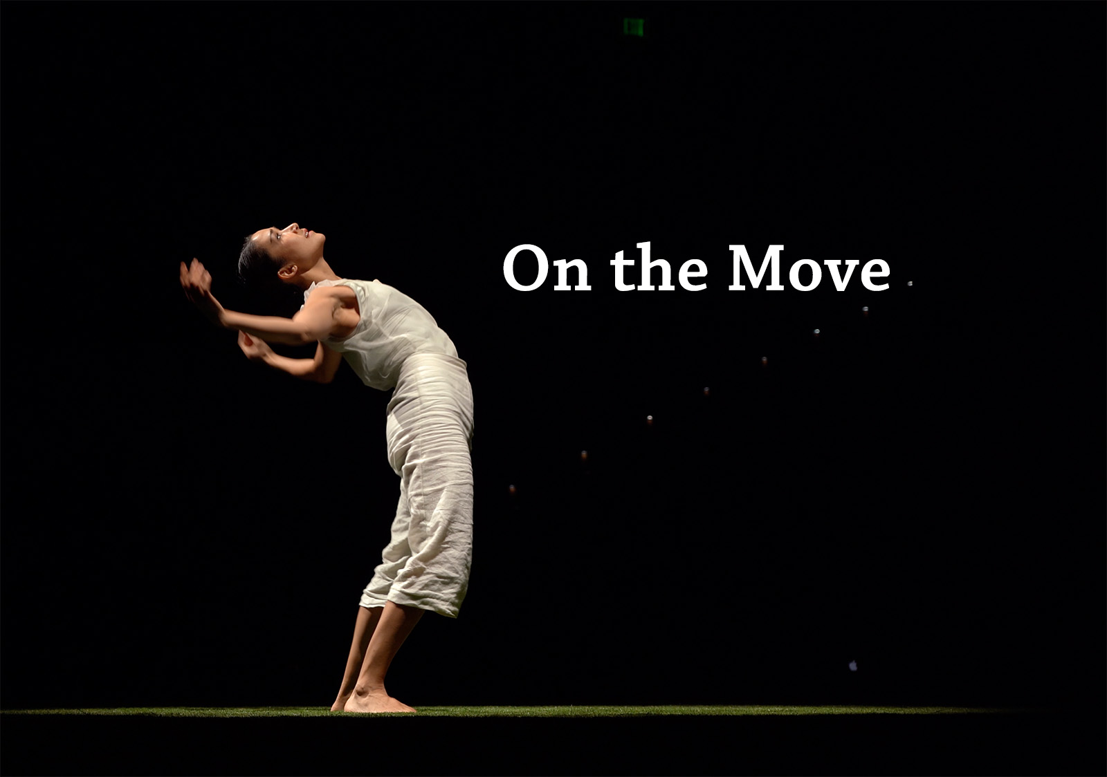 Atlanta dancer Rachel Van Buskirk performs a new move -- to Texas ...