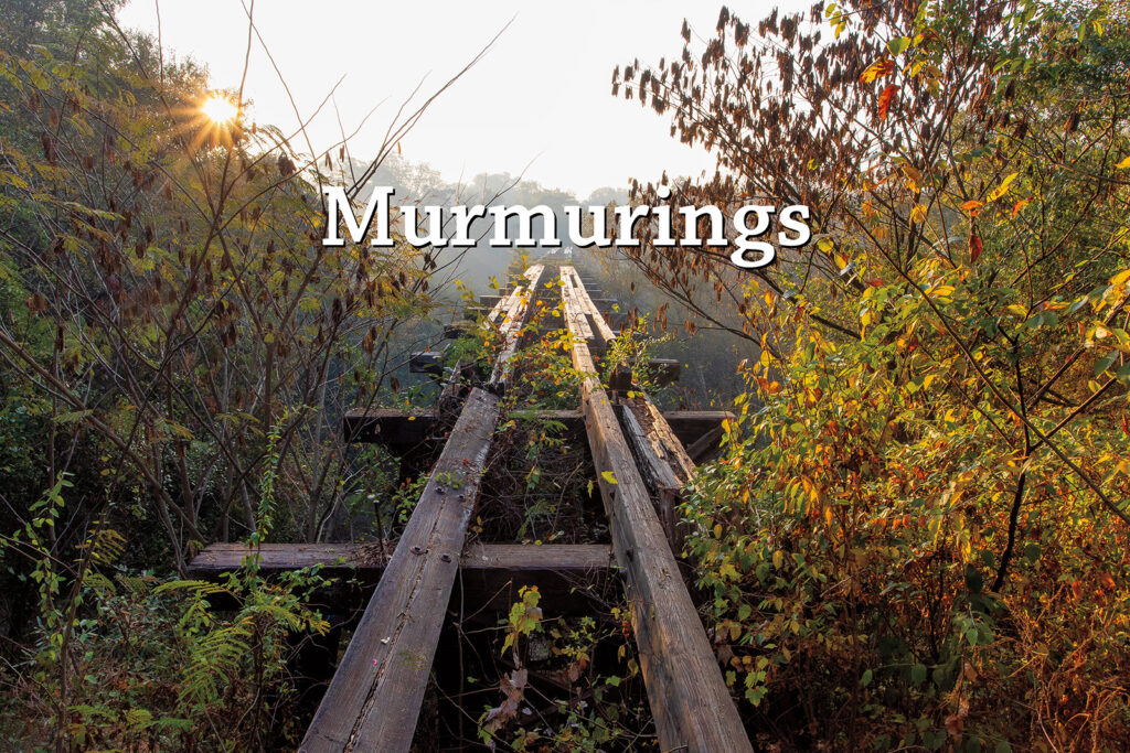 Jason Thrasher captures the beloved ‘Murmur Trestle’ of Athens - ARTS ATL