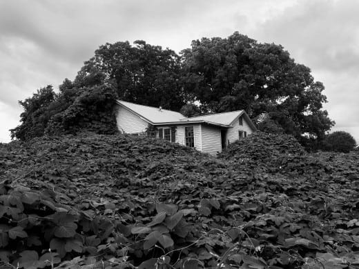 Review: Alec Soth's "Georgia Dispatch" suggests state that can't quite ...