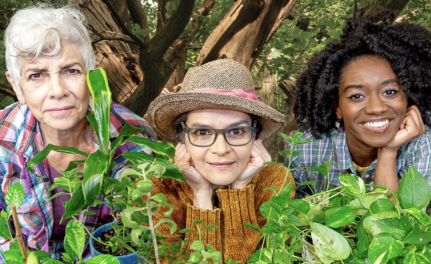 Q&A: Justin Anderson picked as director for "Rooted" garden of ...