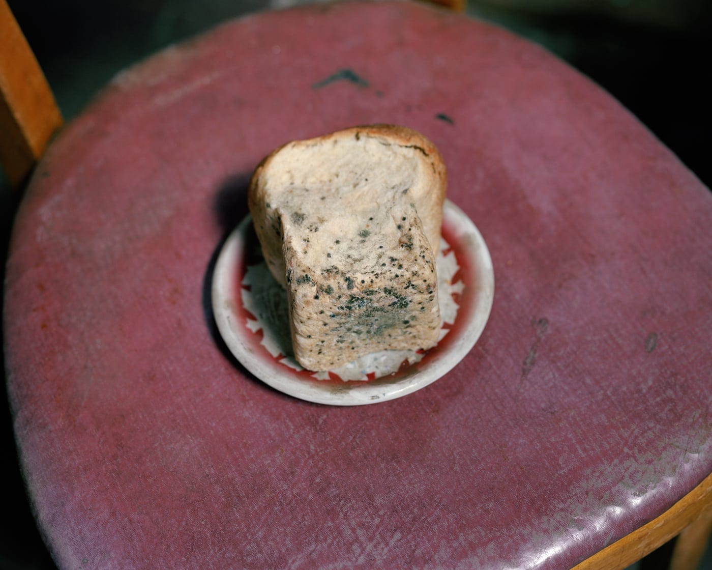 Photographer Susan Worsham captures the miraculous in the mundane