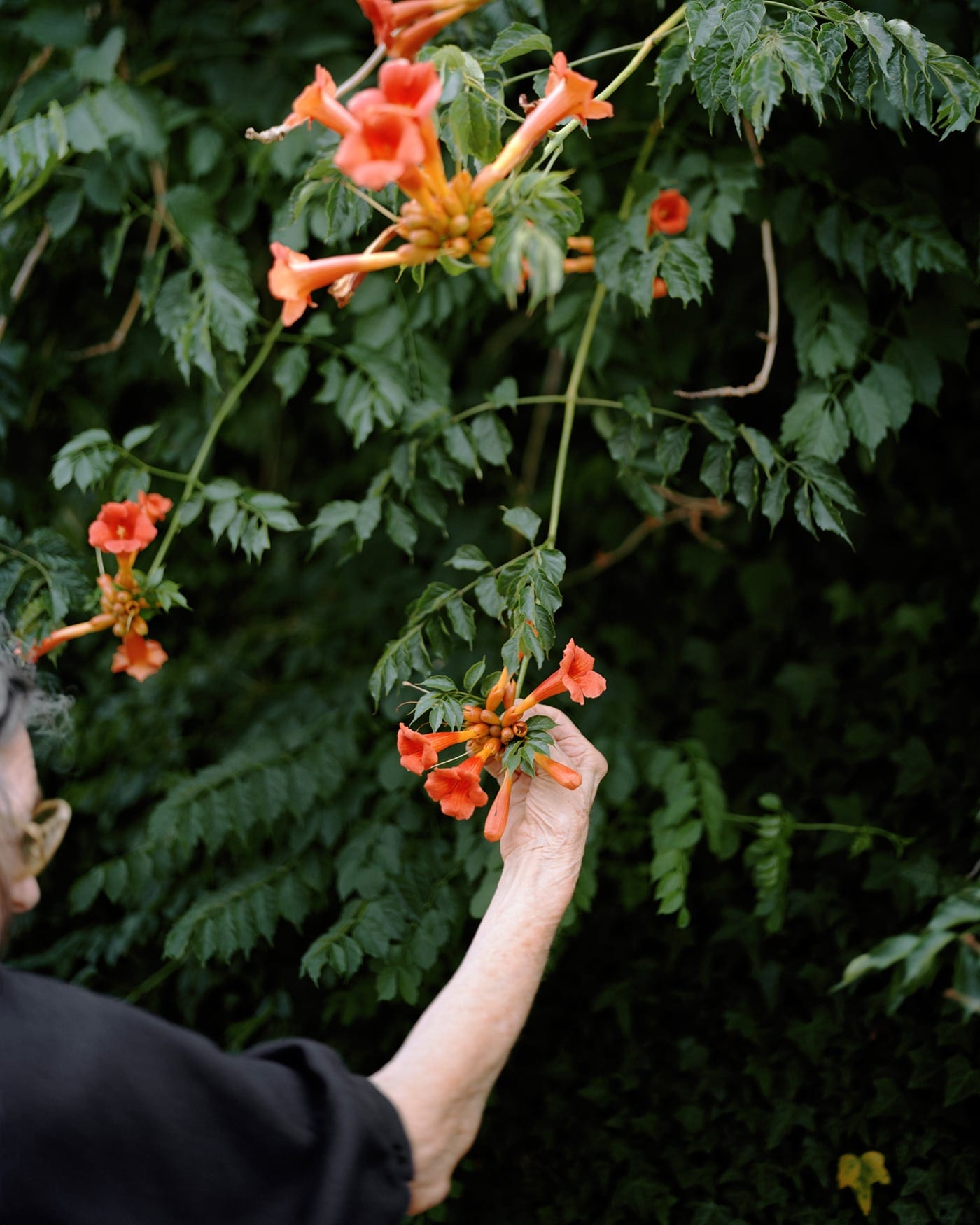 Photographer Susan Worsham captures the miraculous in the mundane