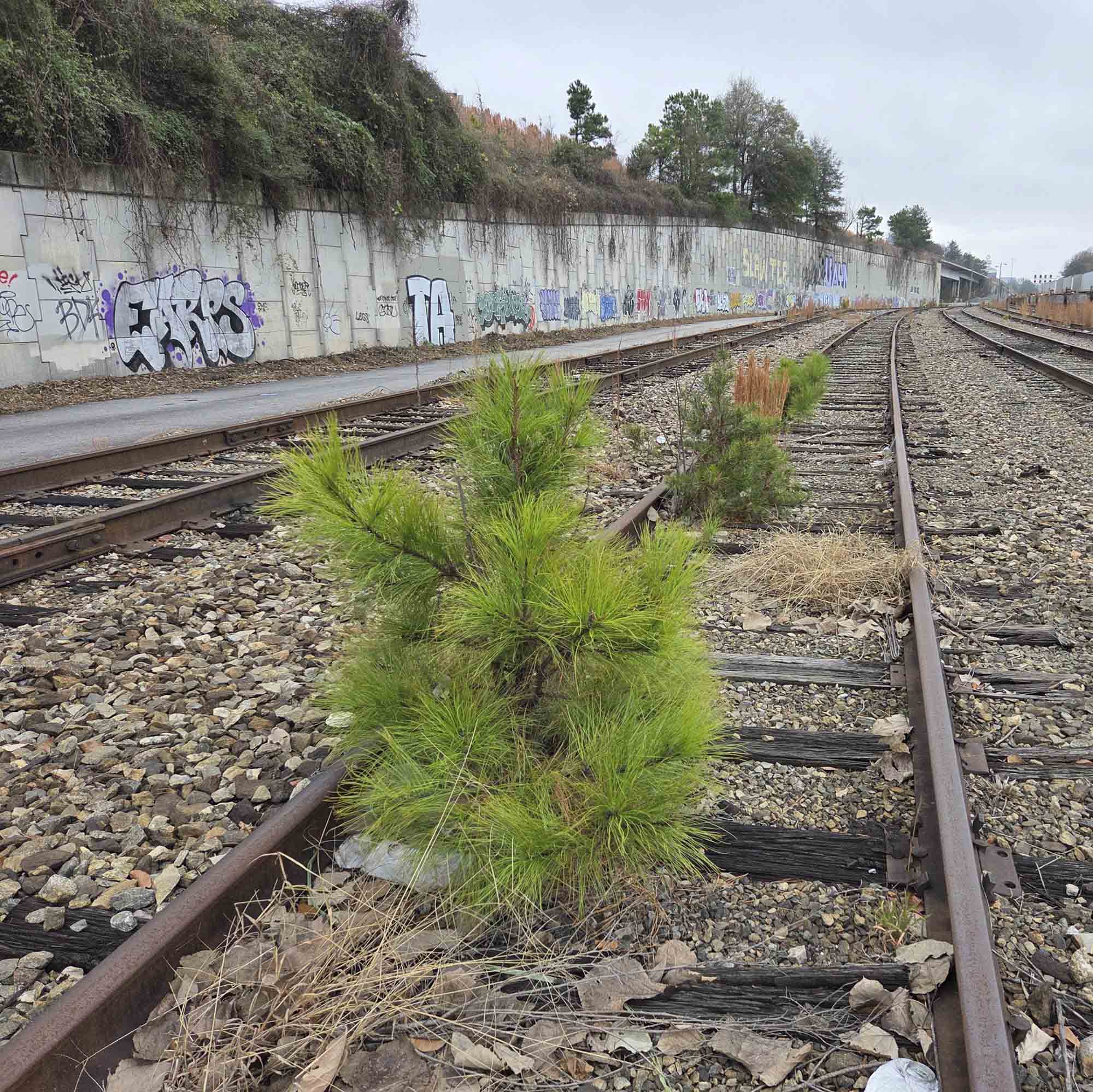 Today in Street Art: Murals in liminal spaces - ARTS ATL