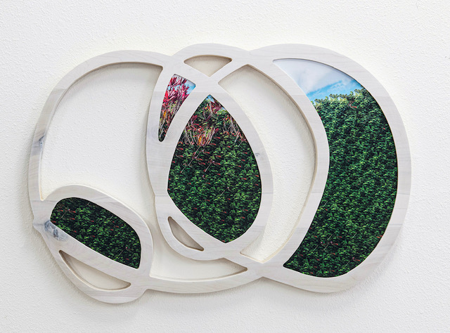 Atlanta Celebrates Photography rebrands as Atlanta Center for ...