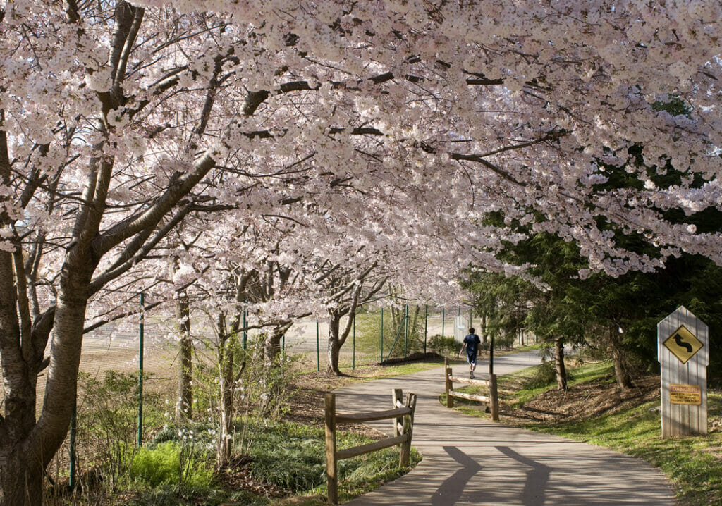 My Atlanta: Ron Sherman will work "as long as there is a camera in my ...