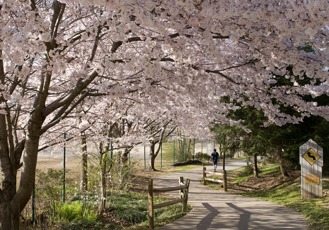 My Atlanta: Ron Sherman will work "as long as there is a camera in my ...