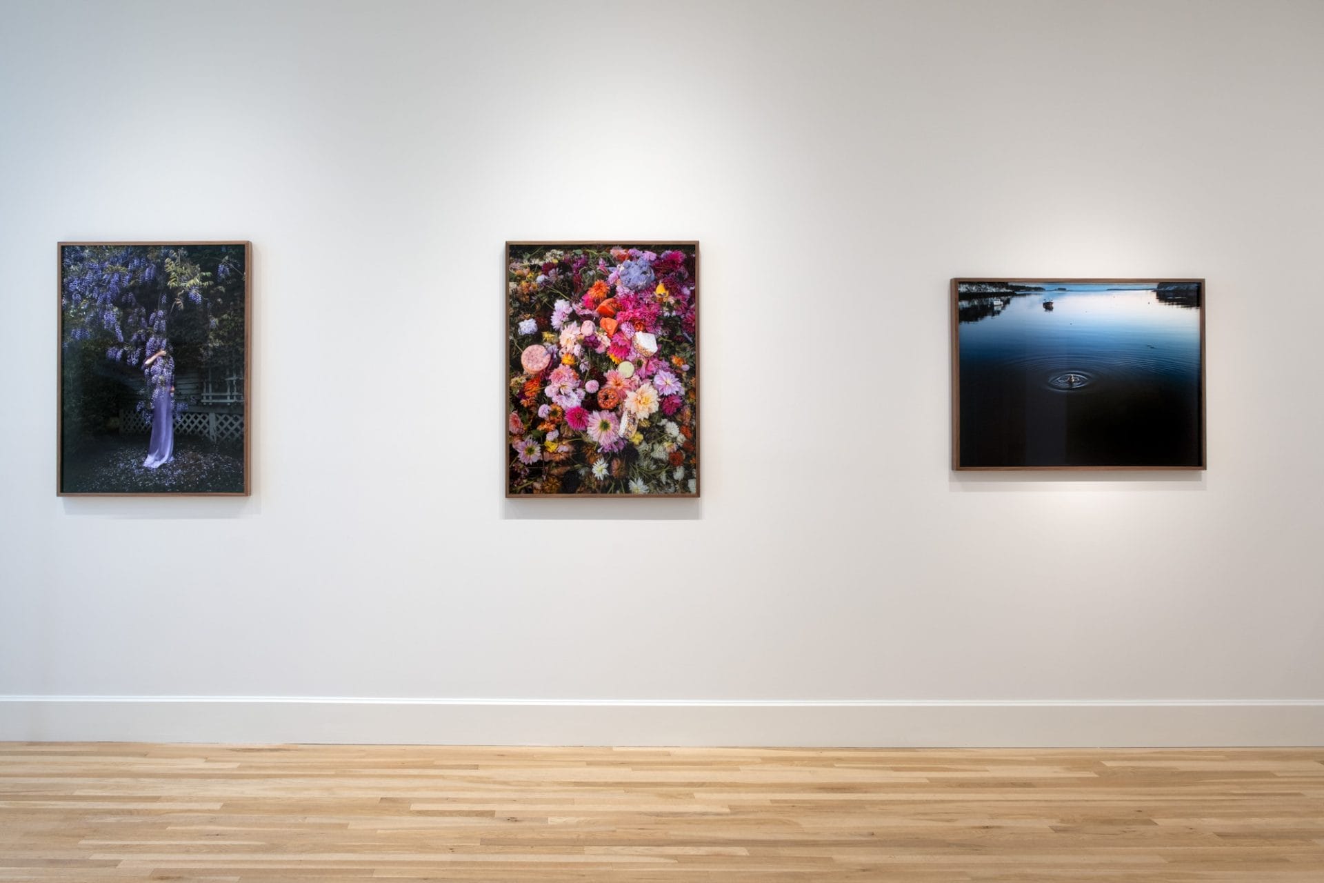 Review: Cig Harvey’s ‘Emerald Drifters’ shines at Jackson Fine Art ...