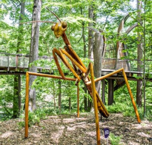 Cullum's Notebook: Provocative couplings of nature and culture - ARTS ATL