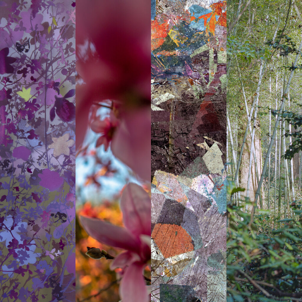 Entanglements - ARTS ATL