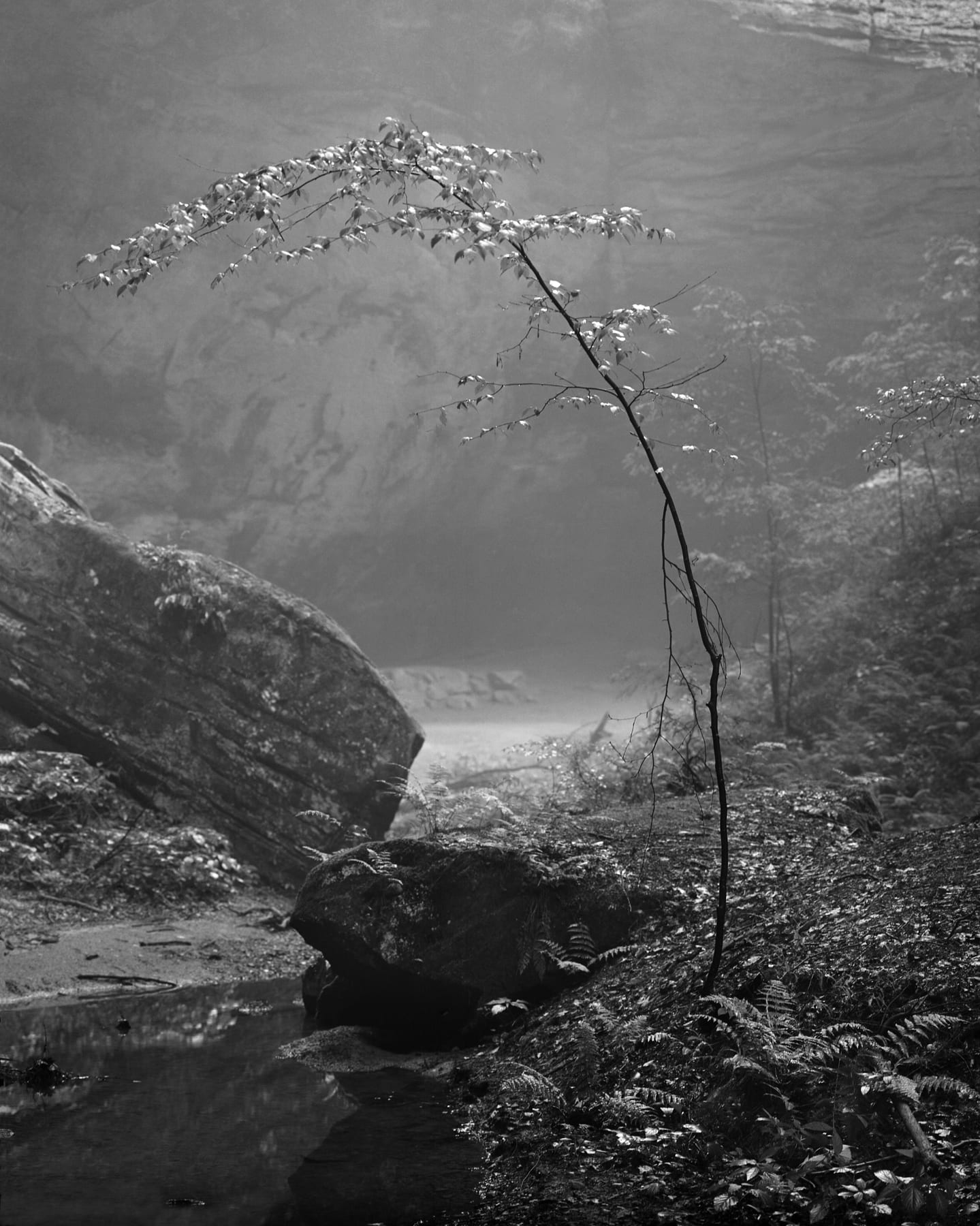 New Serenbe Photography Center in South Fulton has unique printing ...