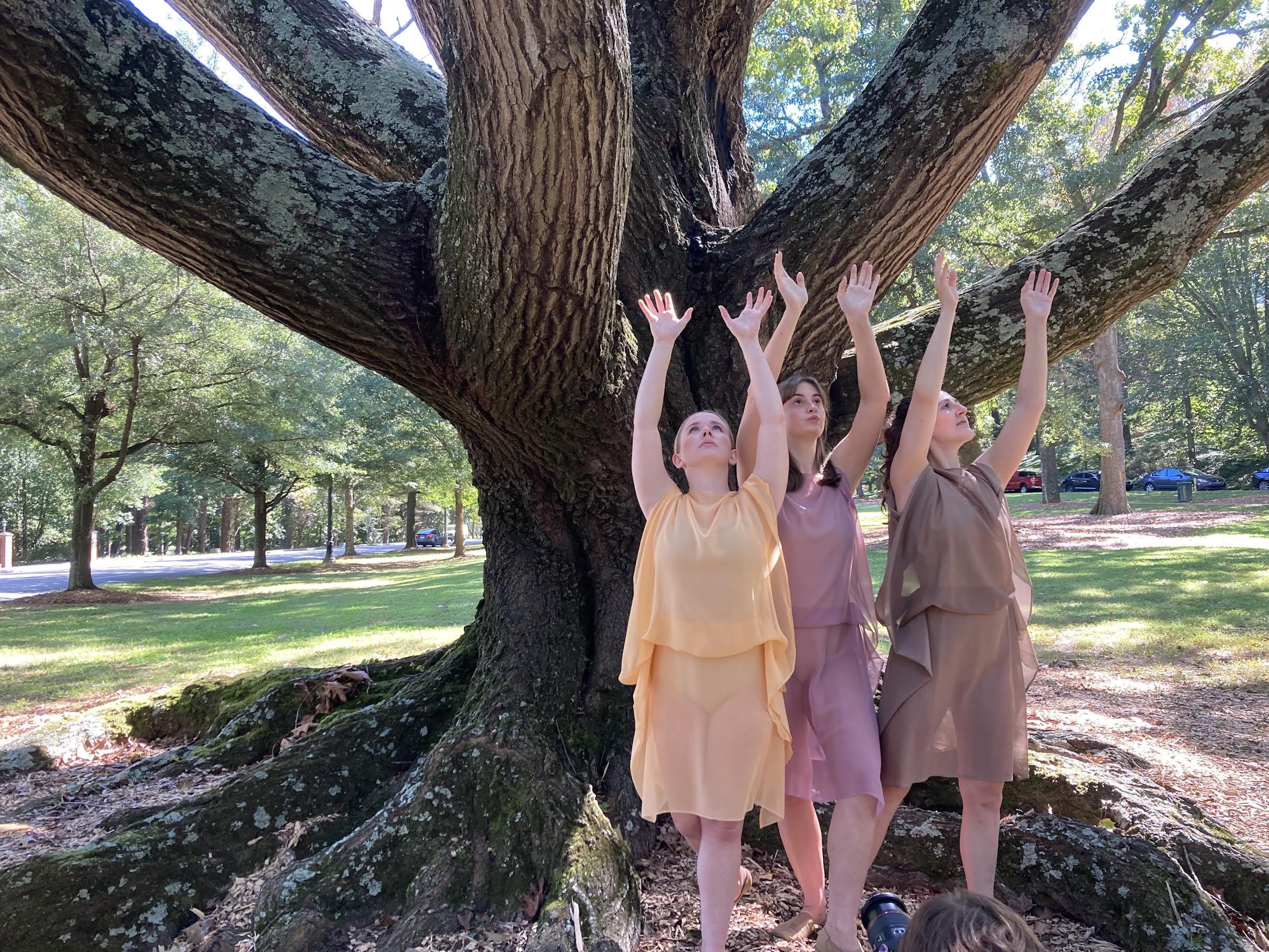 What to See, Do and Hear: Inman Park Festival, Living Walls, Shaky ...