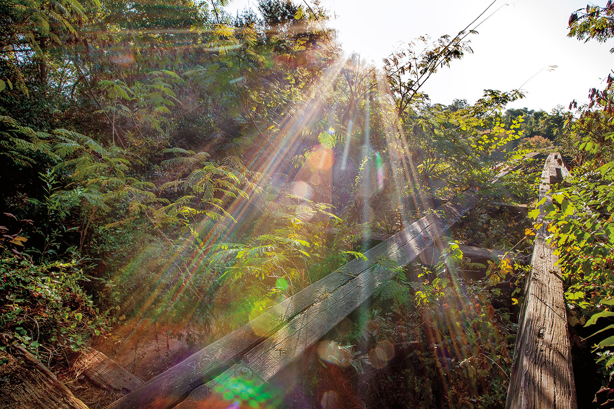 Jason Thrasher captures the beloved ‘Murmur Trestle’ of Athens - ARTS ATL