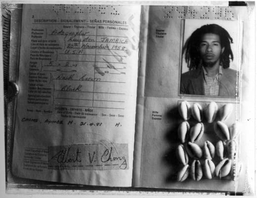 History, family, culture, nature intertwine in Albert Chong's photos ...