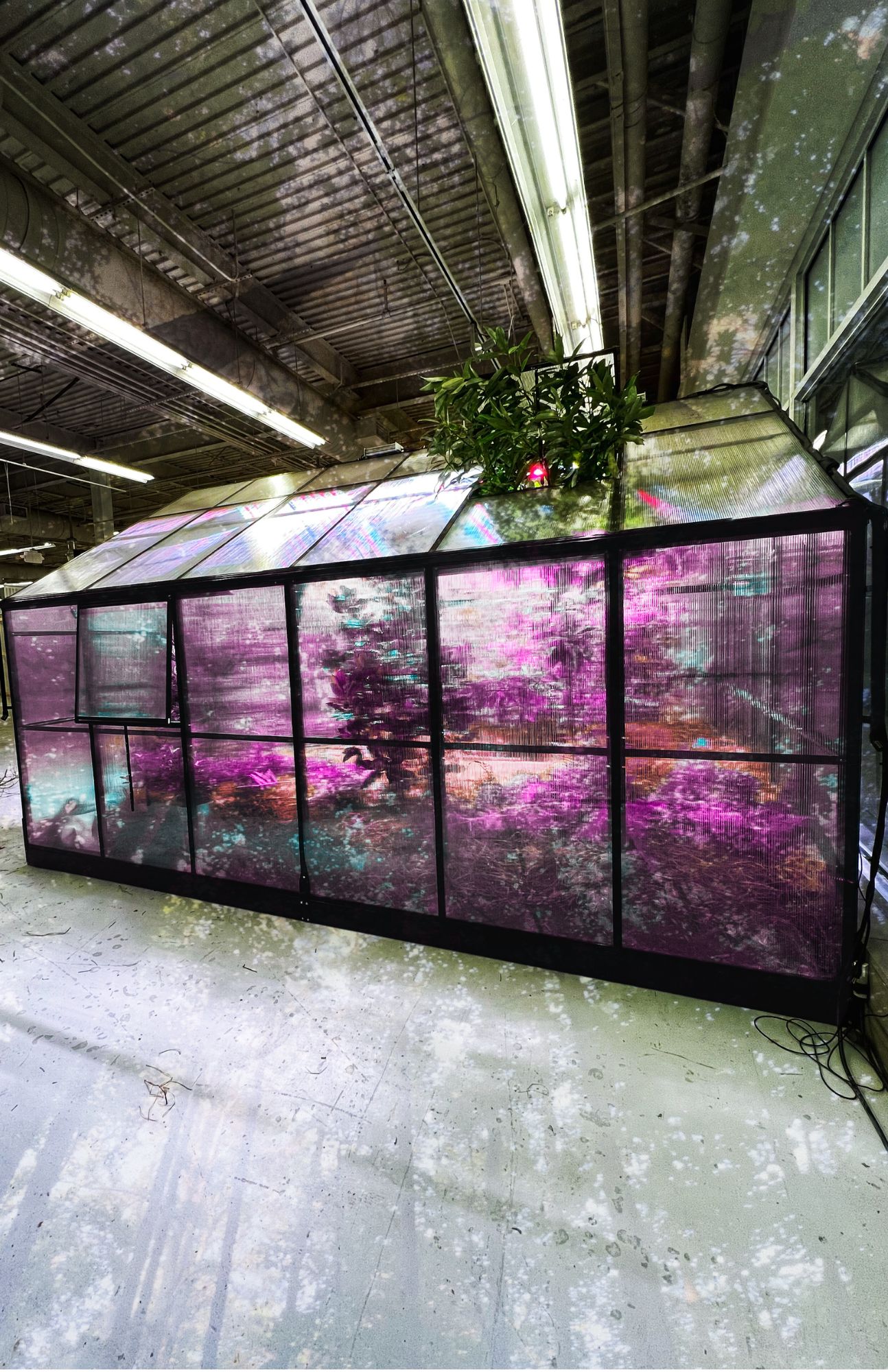 "Sacred Breaths" at Science Gallery Atlanta - ARTS ATL