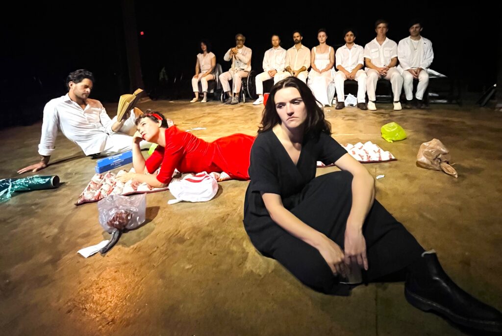 Review: ‘Seagull’ at Pullman allows Chekhov’s work to take flight ...