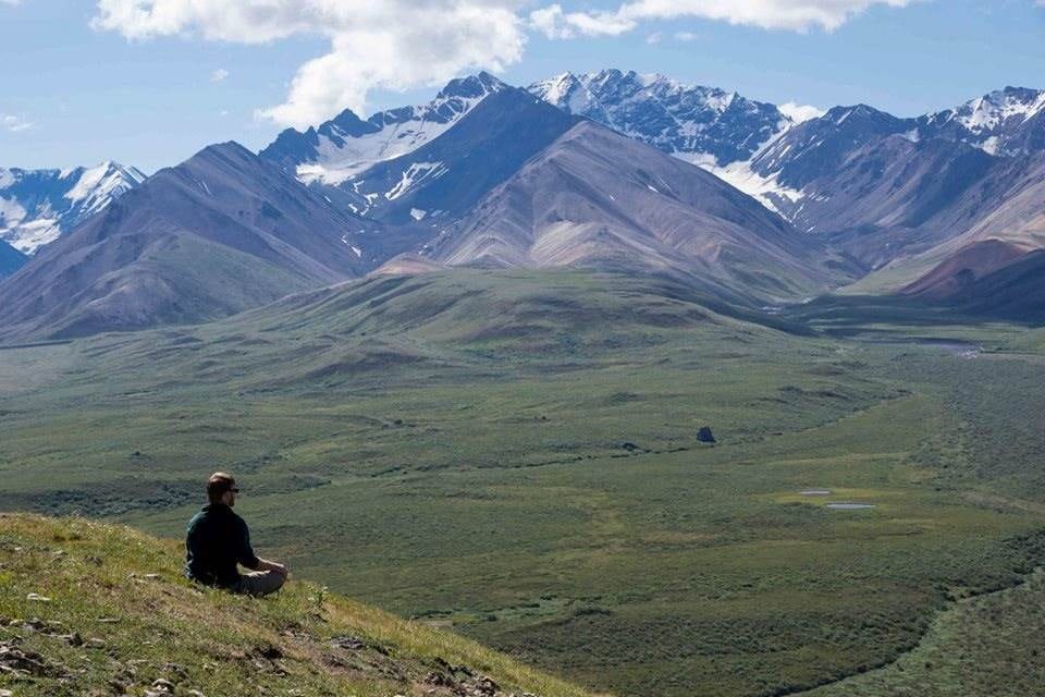 Preview: "Profound impact" of Alaskan wilderness informs Stephen Wood's ...