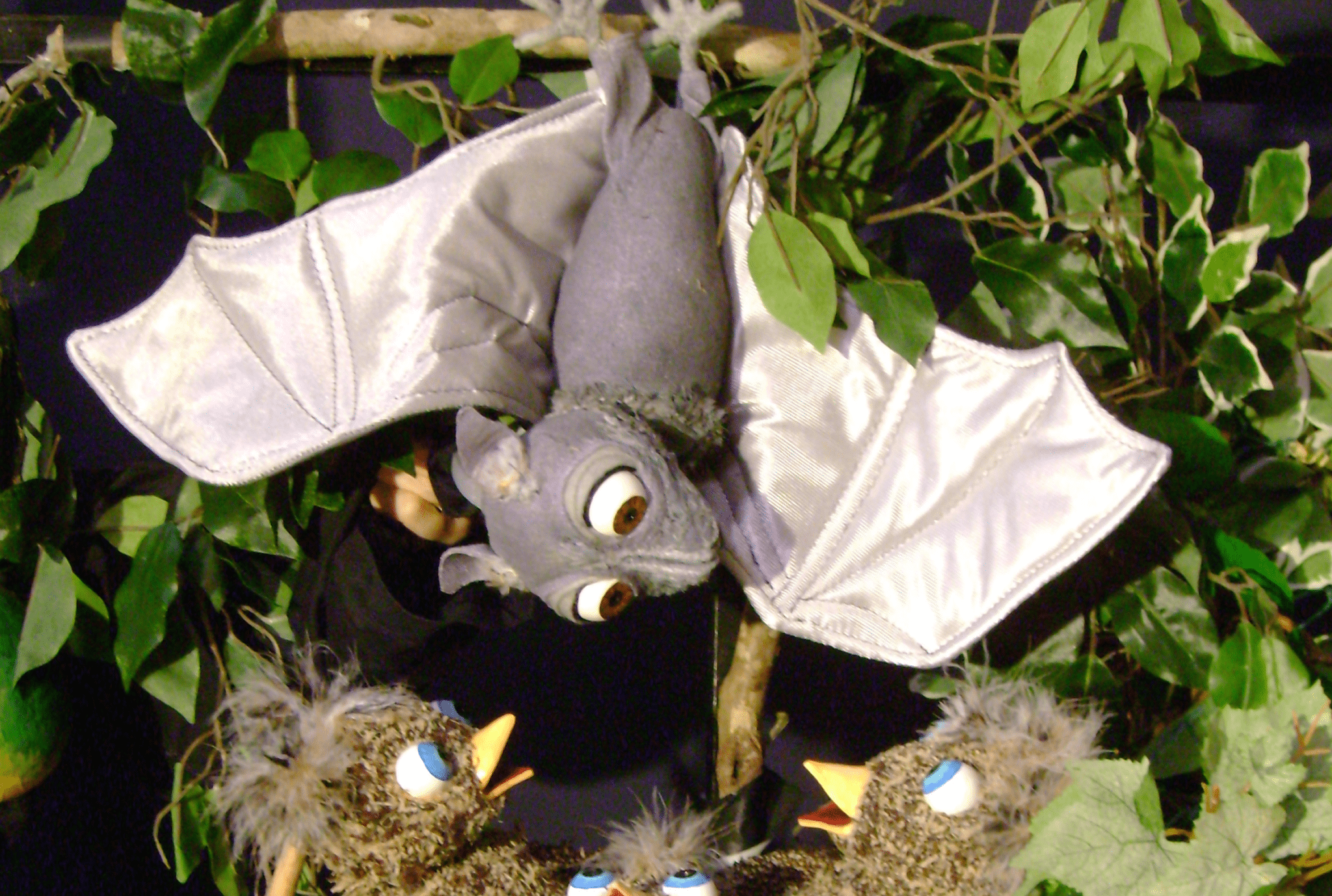 Preview: Stellaluna, a bat that finds its wings, makes a return flight ...