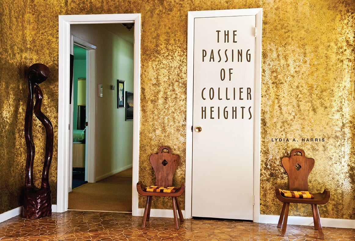 Photographer Lydia A. Harris gives historic Collier Heights a close-up ...