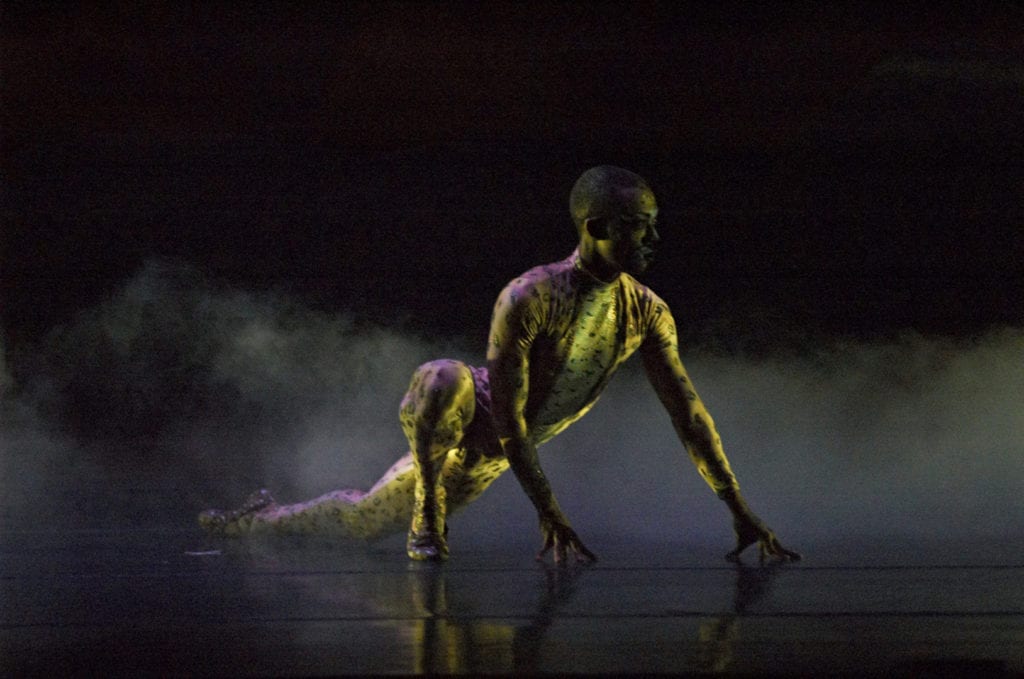 Q&A: Ballethnic's Nena Gilreath on The Leopard Tale and the will to ...