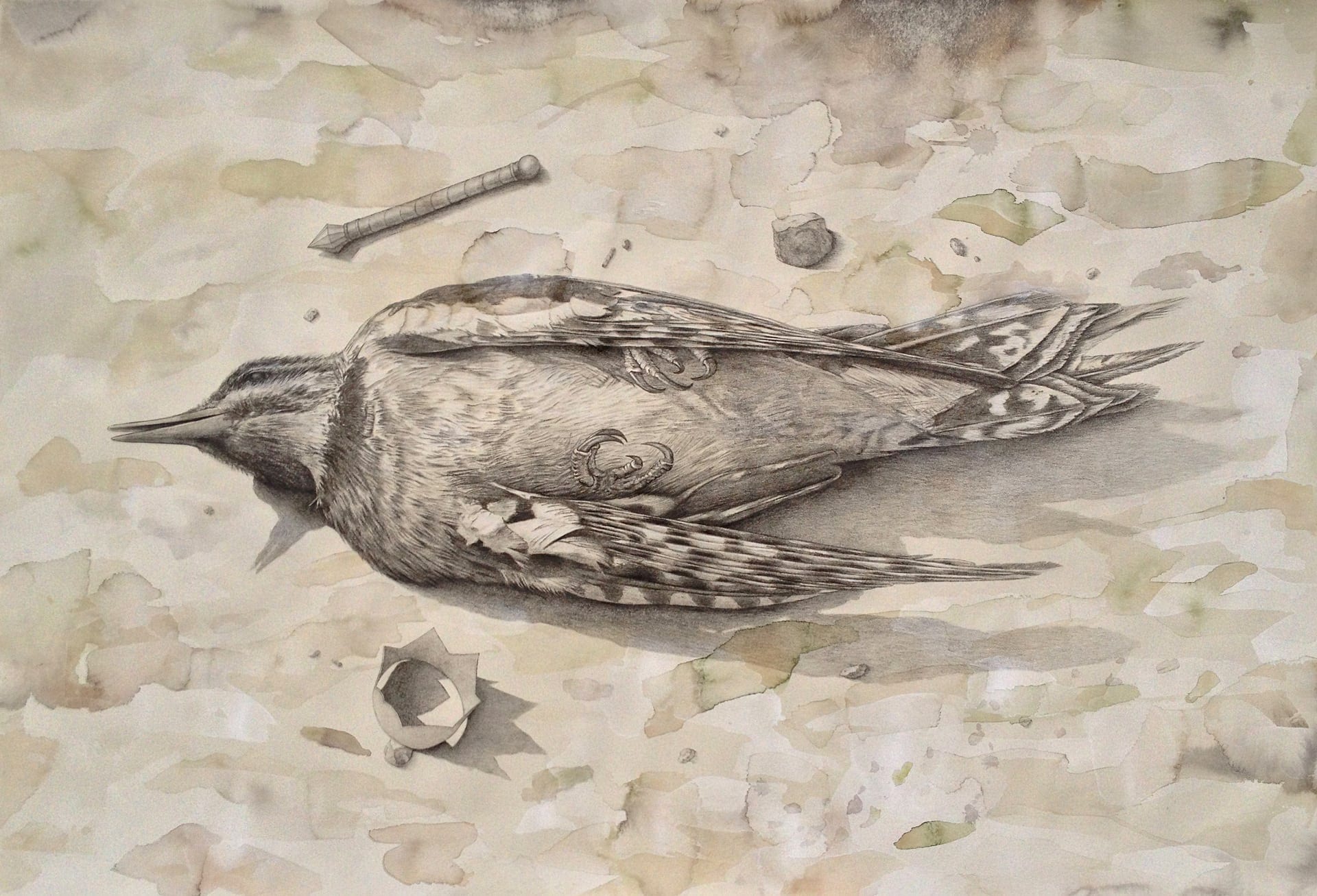 Photo gallery: Atlanta Print Biennial shows creative potential of ...