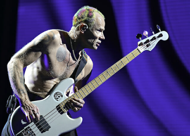 August concert photos featuring Red Hot Chili Peppers, Men at Work and ...