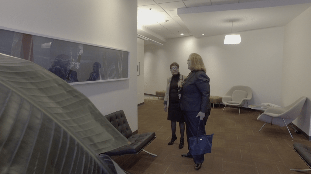 Luminary Awards: Virginia Hepner and Myrna Anderson-Fuller